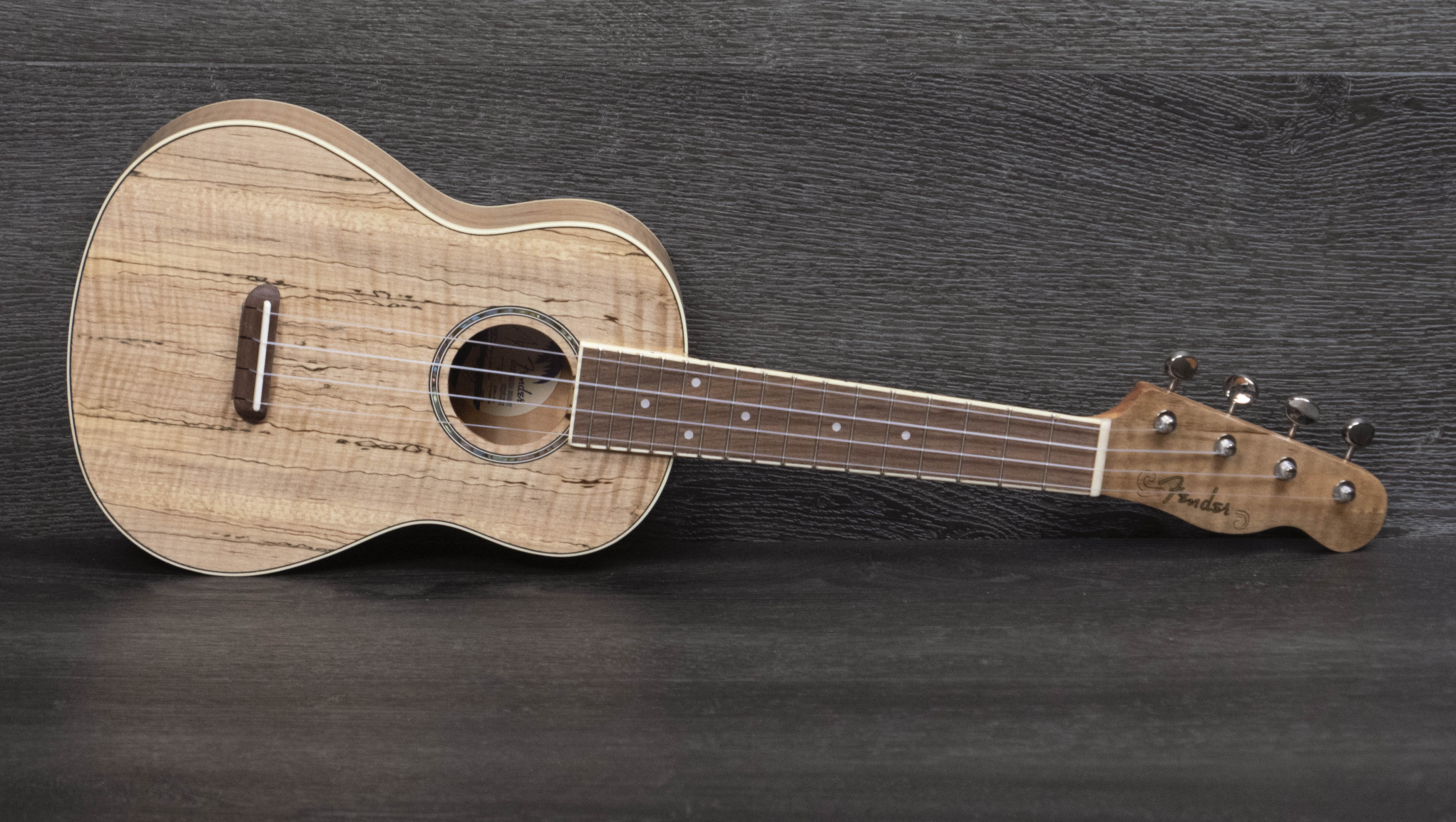 Fender Zuma Exotic Concert Ukulele, Walnut Fingerboard, Spalted Maple ...